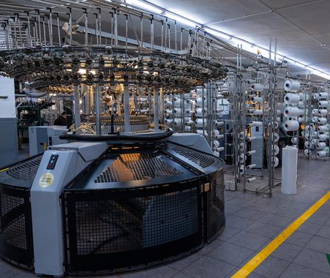 Tatari Egypt | Tatariegypt